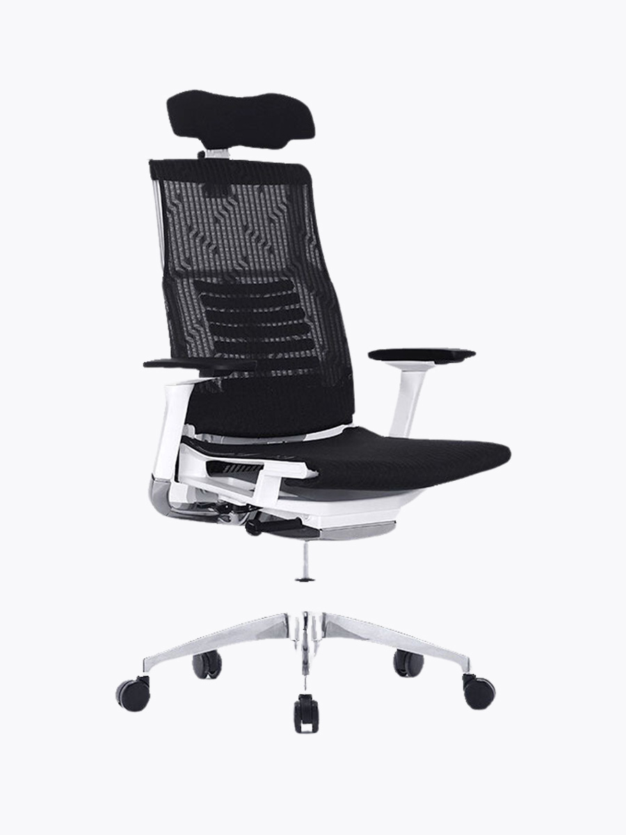 Comfortable Chair for Office | Buy Office Chairs Online
